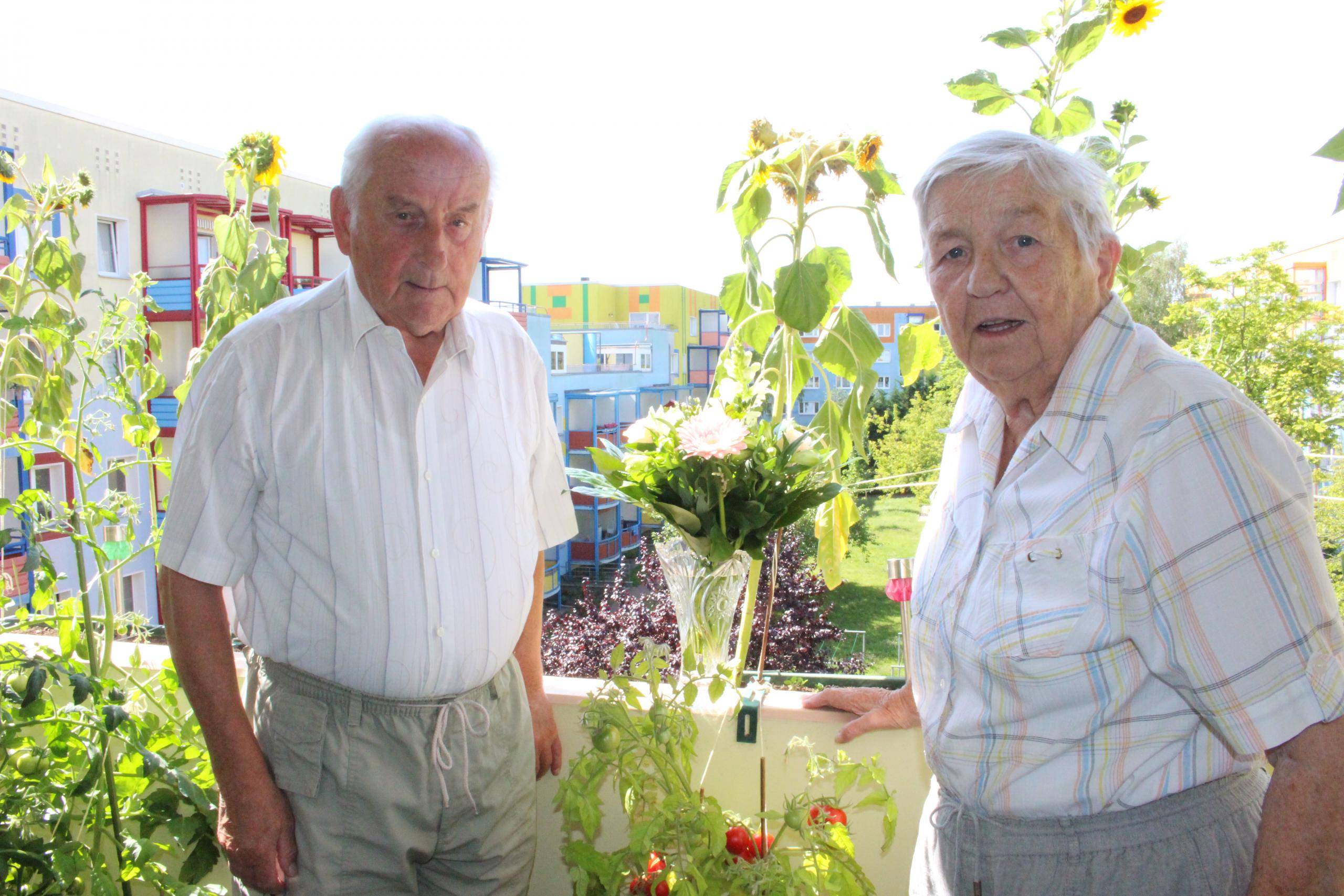 "Haben uns nie groß in die Wolle bekommen"